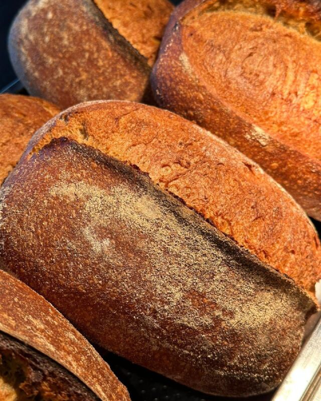 Gallery - Restaurant Amara